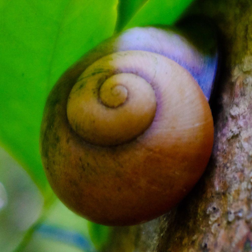 Publications Resources The Mourning After